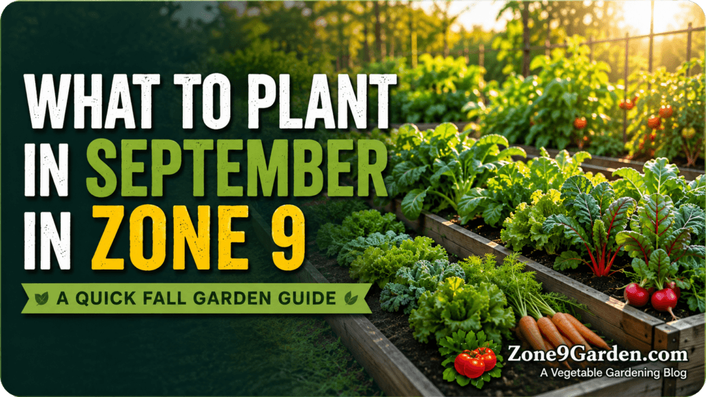 What To Plant In September In Zone 9 Quick Fall Garden Guide