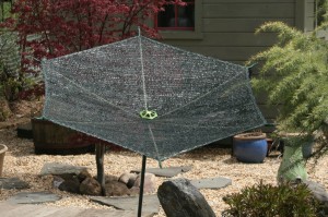 Protect Sensitive Plants from Strong Summer Sun | Vegetable Garden Blog