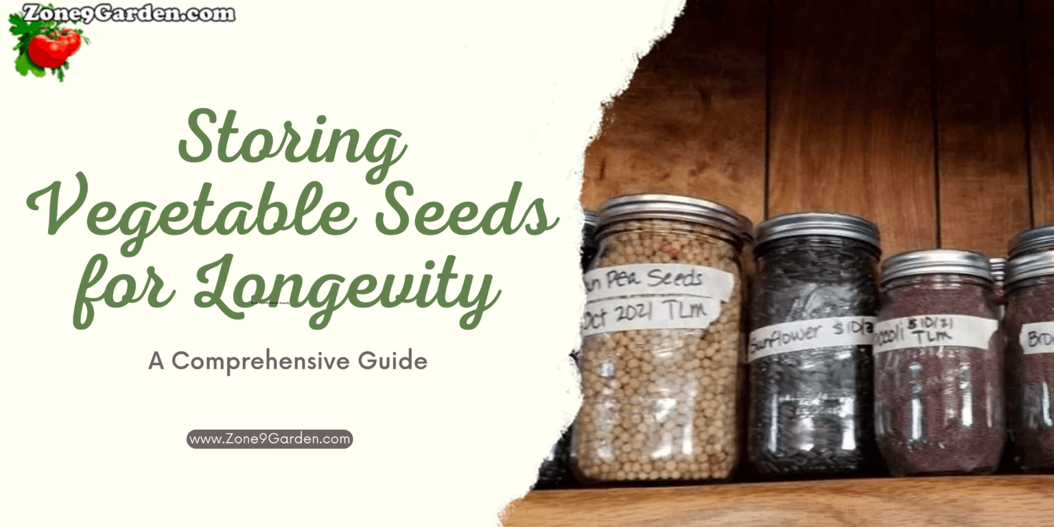 A Comprehensive Guide to Storing Vegetable Seeds for Longevity